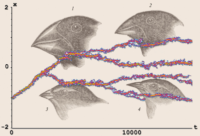 Probability | Center for Applied Mathematics – Ecole Polytechnique